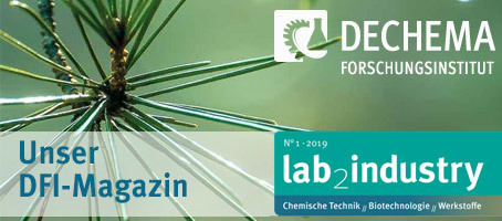 Dechema Forschungsinstitut